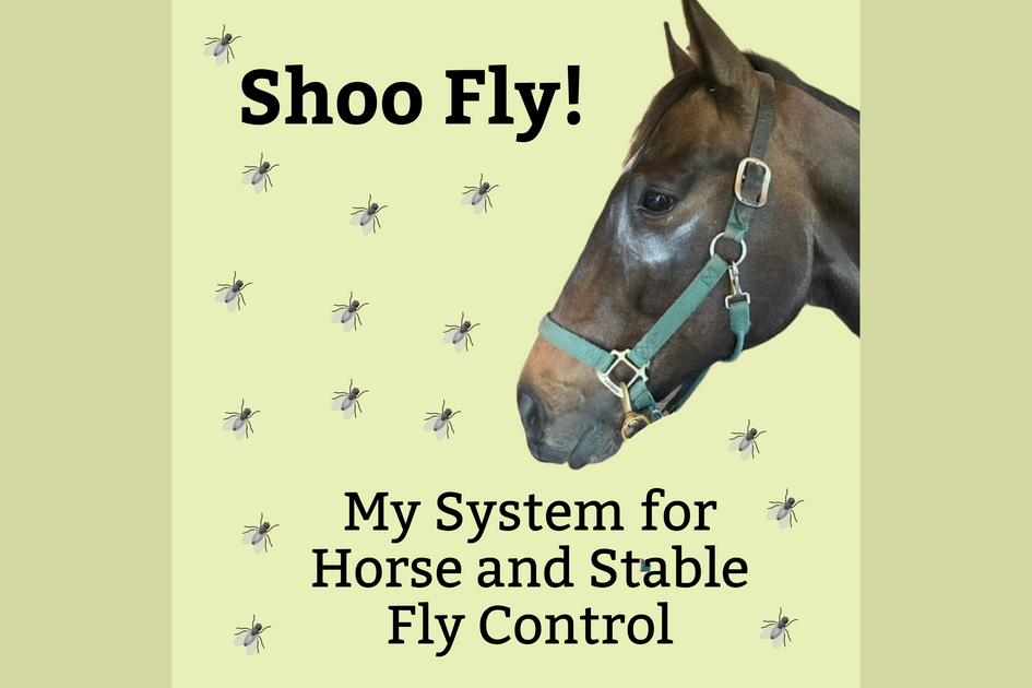 Shoo Fly! My Fly Control System – Horse Hippie
